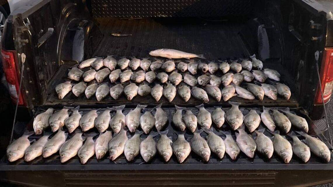 88 fish caught over Georgia limit given to family in need | Macon Telegraph